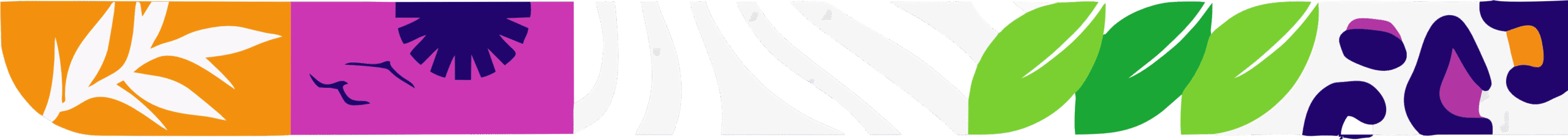 UNIPAZ - Instituto Universitario de la Paz UNIPAZ